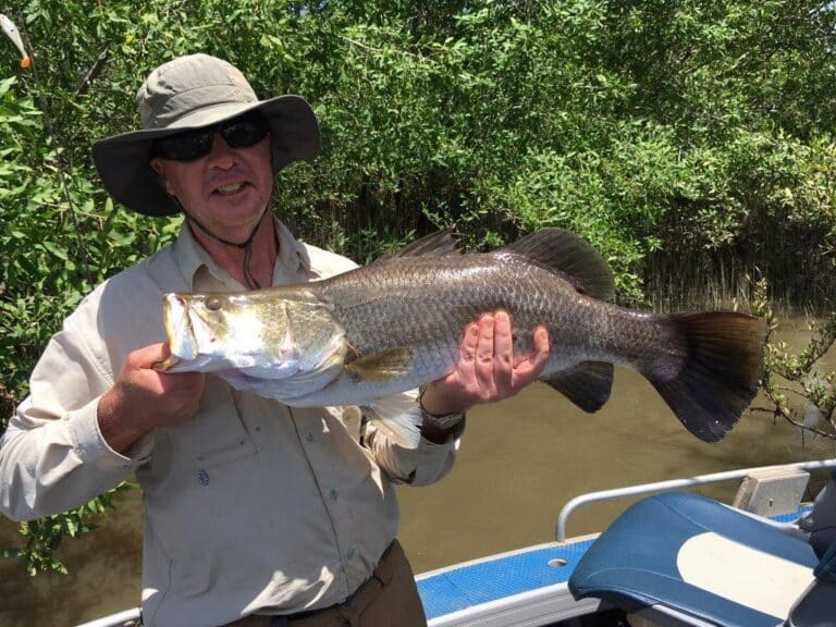 What are the Size and Bag Limits for Barramundi in Australia?